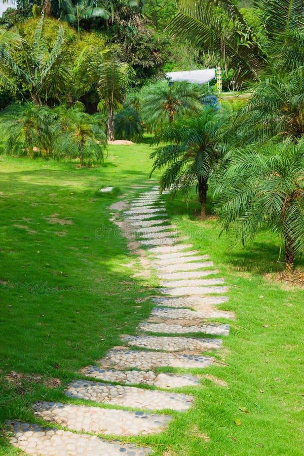 Footpath stock photo. Image of stone, forest, park, grass - 31172740