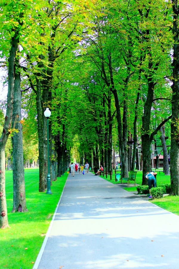 Footpath in the Park with Big Trees Stock Image - Image of beautiful ...
