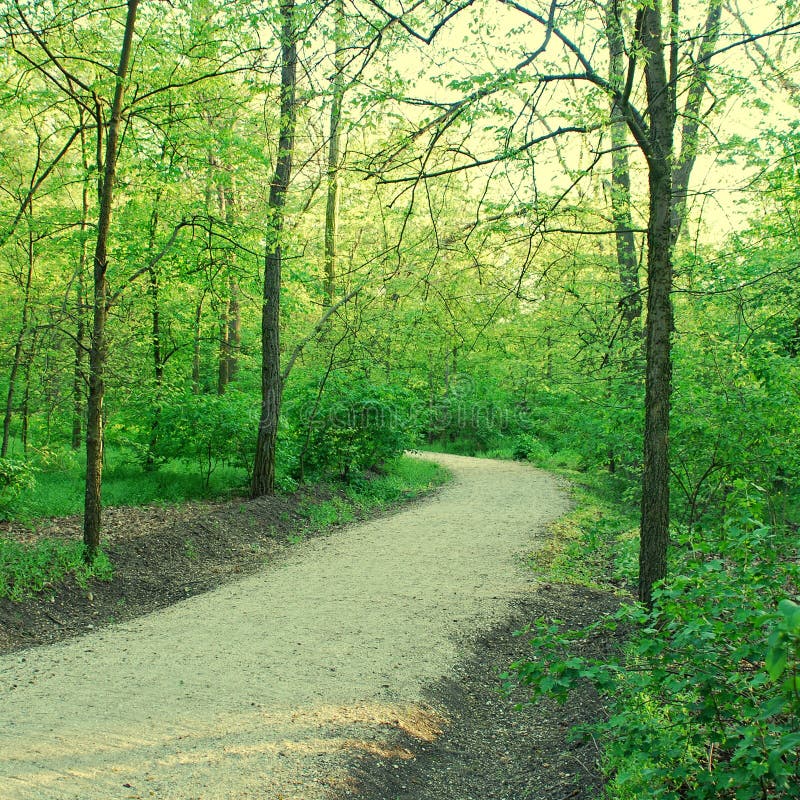 Footpath in park stock photo. Image of curve, horizontal - 51004954