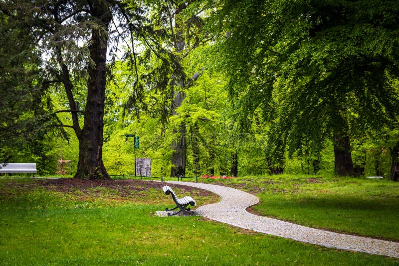 Footpath in a Park in Spring Stock Photo - Image of walk, beautiful ...
