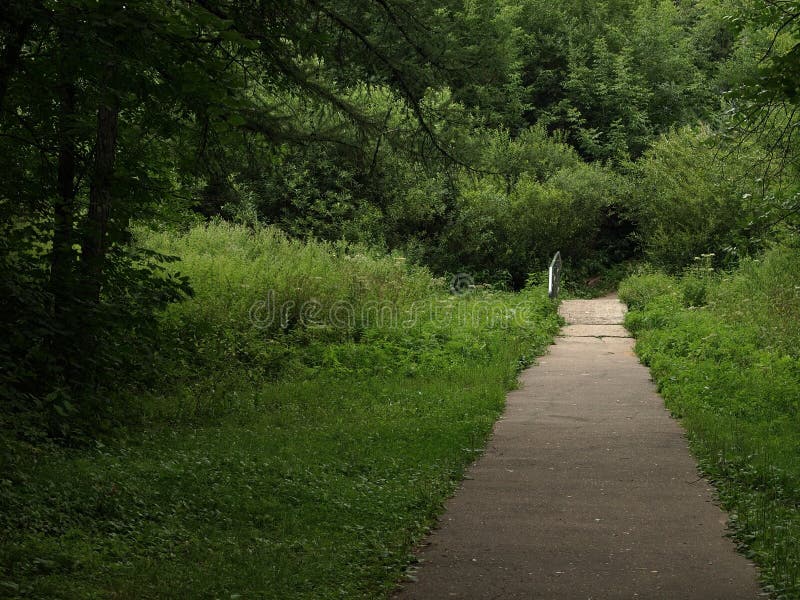 Footpath in park stock image. Image of wood, horizontally - 43532361