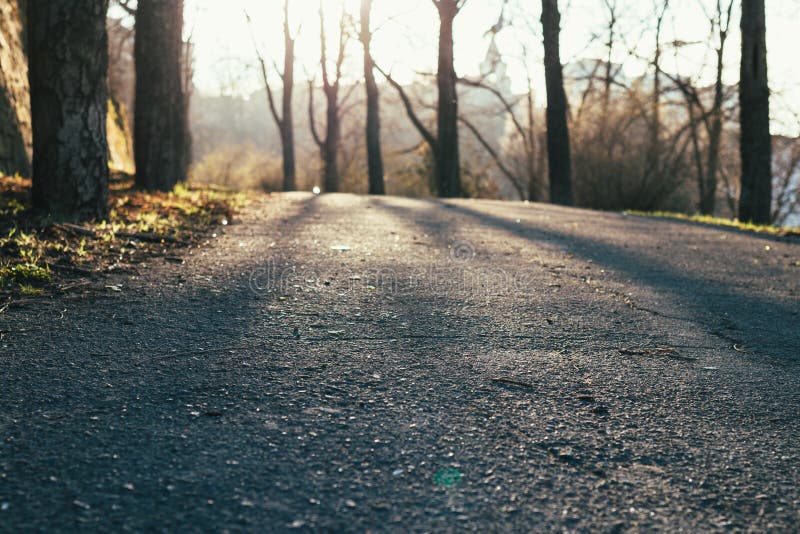 Footpath in the Park at Sunrise, View from the Ground Stock Image ...