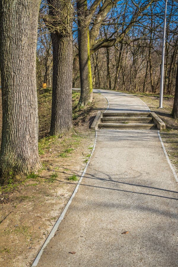 Footpath in a park stock photo. Image of walk, park - 177204456