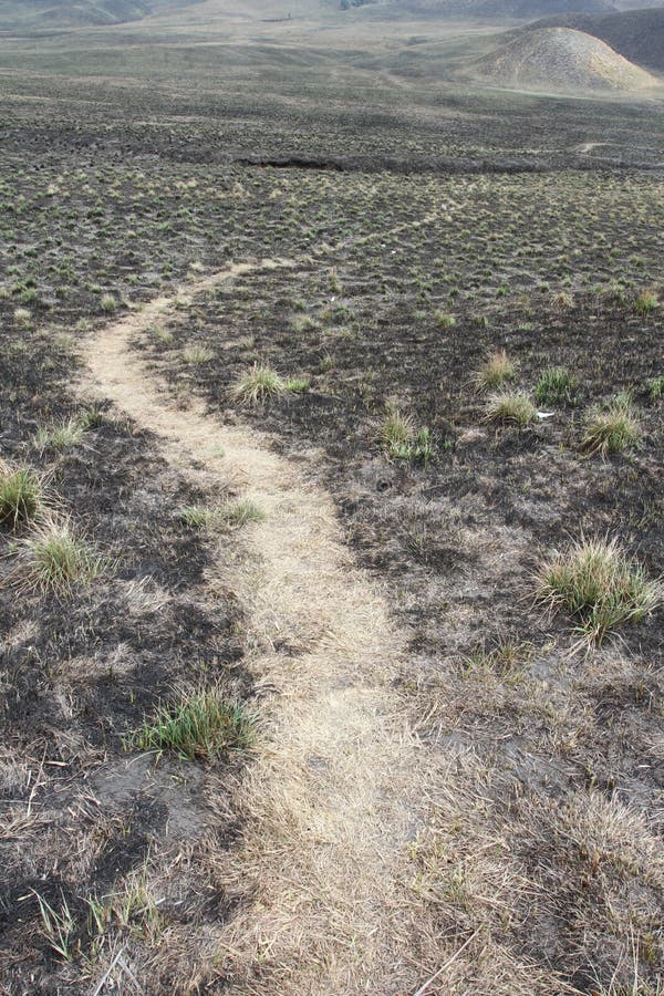 Footpath stock photo. Image of grasslands, path, walk - 30890648