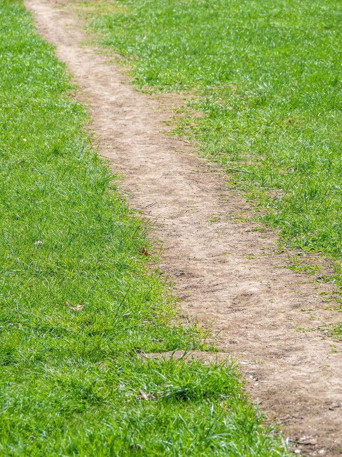 Footpath or Pathway in with Fresh Green Grass, Nature Trail in the Park ...