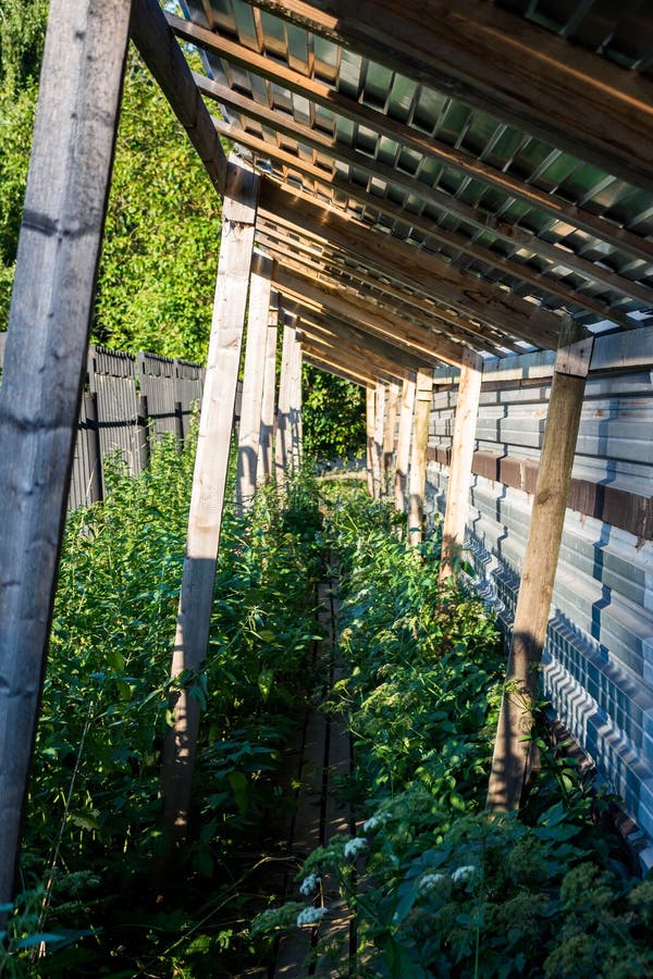 Footpath with Protection from Above Passing Next To the Construction ...