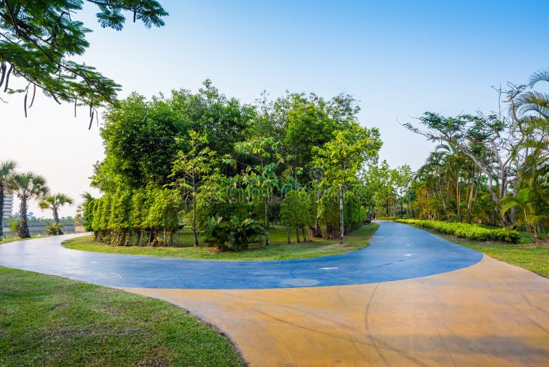 Footpath in Public Park stock image. Image of meadow - 145227191