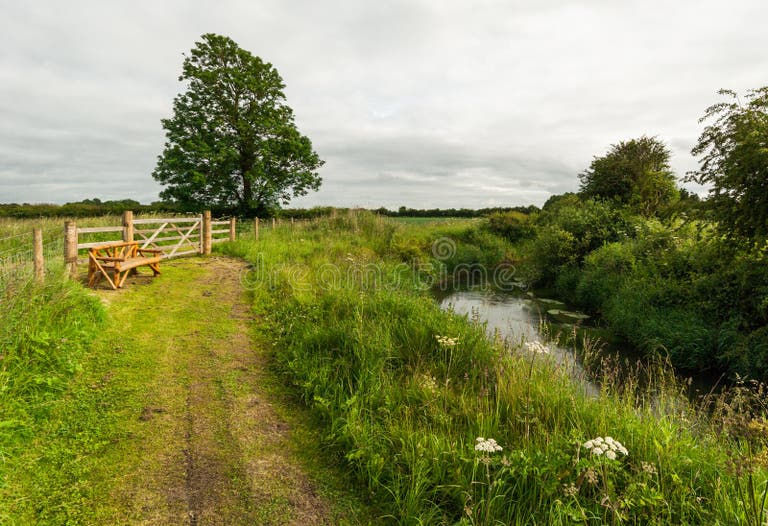 Footpath by a river stock photo. Image of footpath, farmland - 82997798