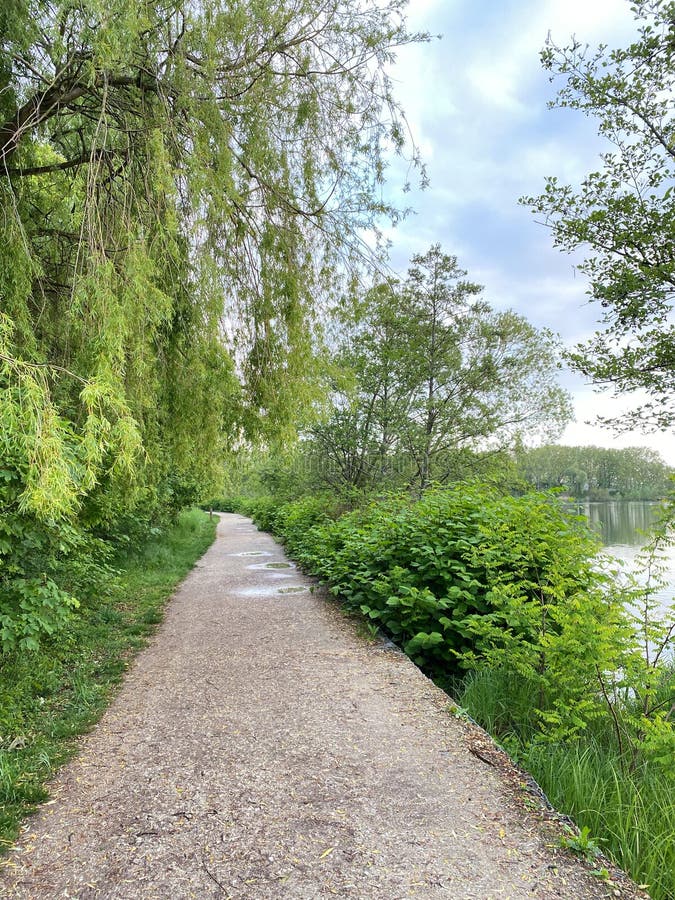 Footpath in rural scene. stock image. Image of majestic - 219953745