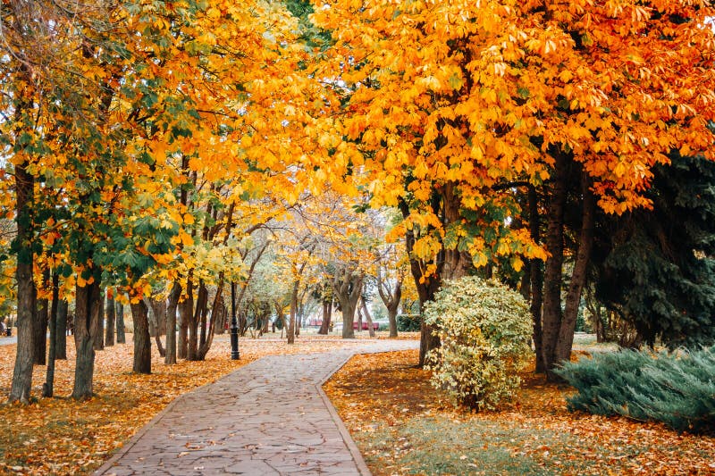 Footpath in Scene Autumn Park, Nature Stock Photo - Image of lane ...