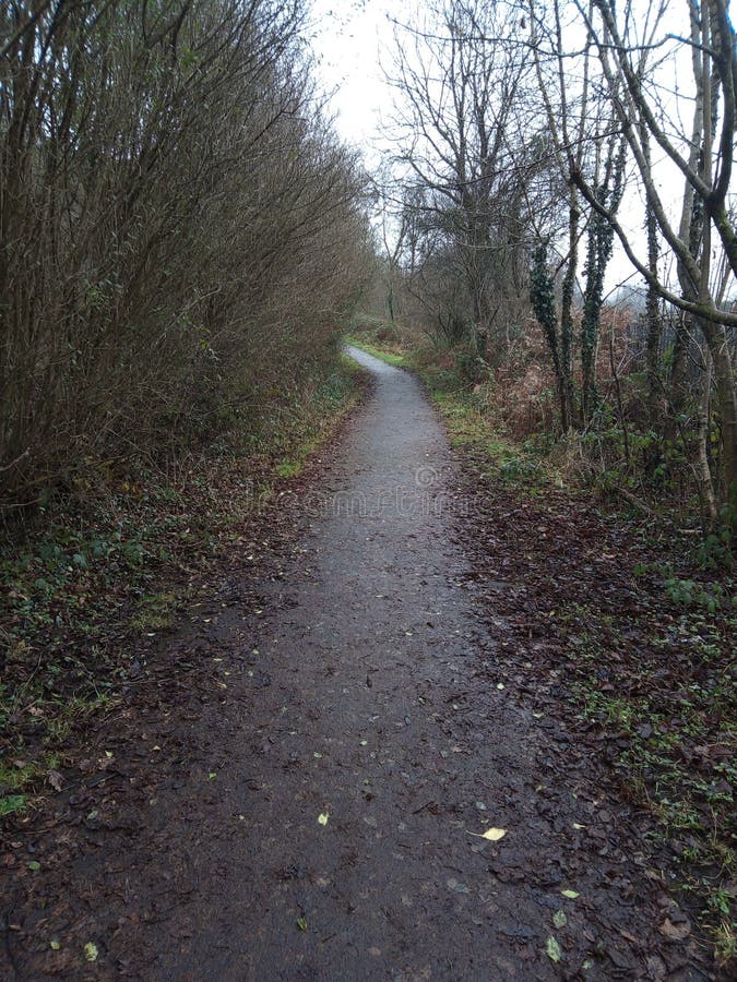 Footpath at the Side of the River Cynon Stock Photo - Image of cynon ...