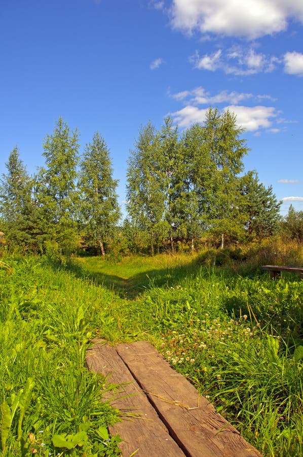 Footpath & Small Wooden Bridge Stock Photo - Image of season, wood ...