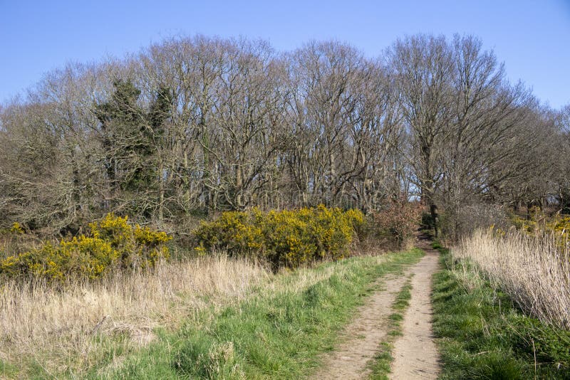 Footpath at Snape, Suffolk, England Stock Photo - Image of footpath ...
