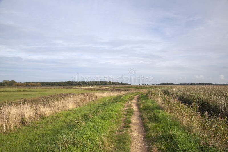 Footpath at Snape, Suffolk, England Stock Photo - Image of nature ...
