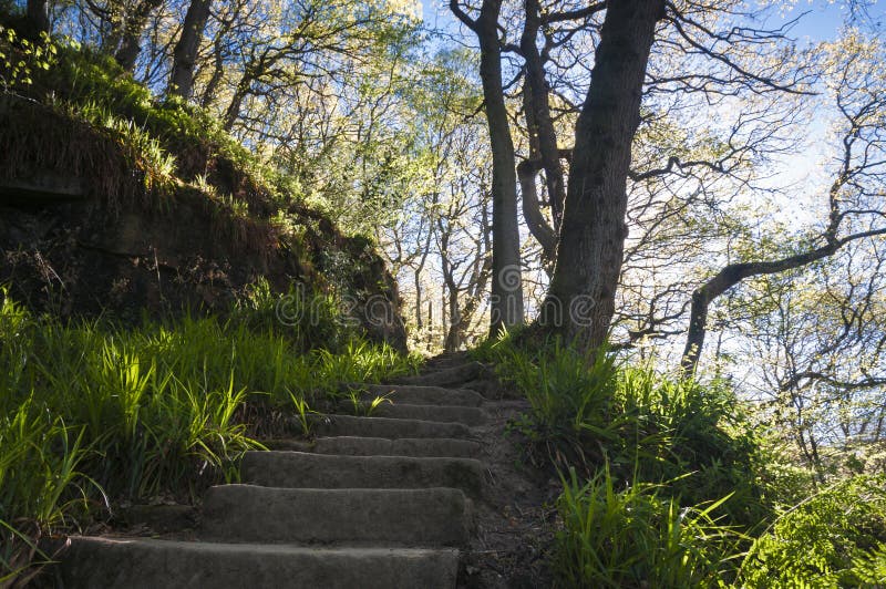 Footpath steps stock image. Image of england, horizontal - 92764267