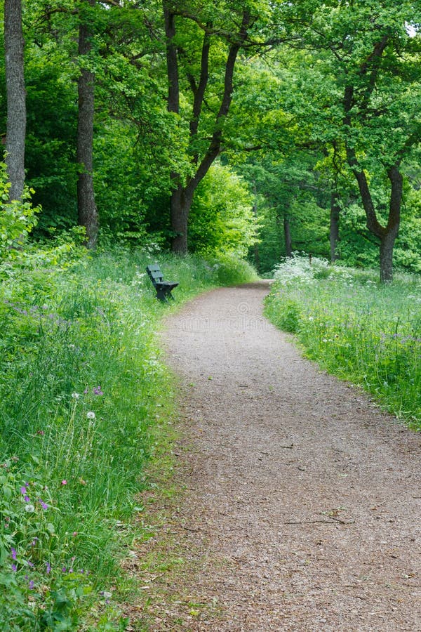 Footpath in summer woods stock image. Image of footpath - 32361313