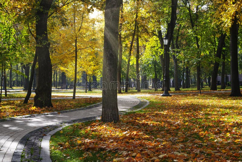 Footpath in a Sunny Fall Park Stock Image - Image of fall, morning ...