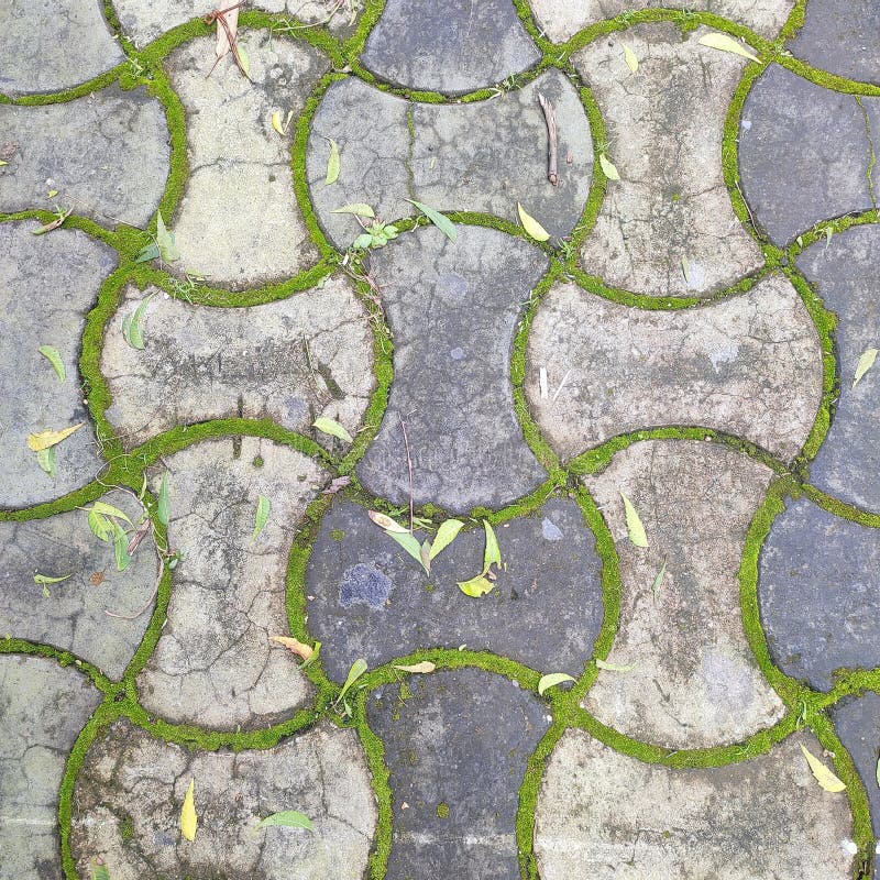 Footpath Tiles after Rainy Days Stock Photo - Image of flooring ...