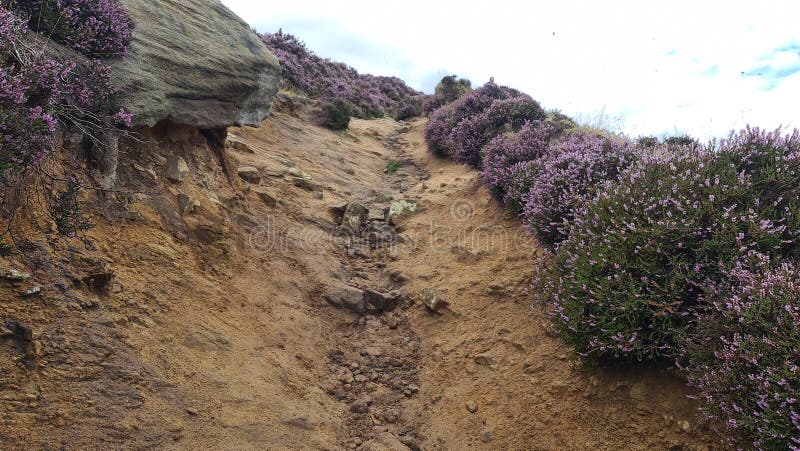 A Footpath To the Top of the Hill Stock Photo - Image of path, sloopy ...