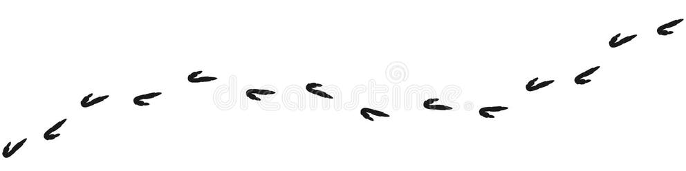 Ostrich Tracks Stock Illustrations – 51 Ostrich Tracks Stock ...