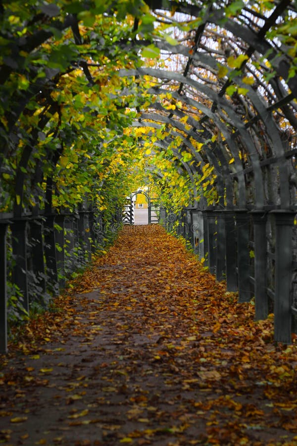 Footpath in tree gallery stock image. Image of fall, landmark - 78685469