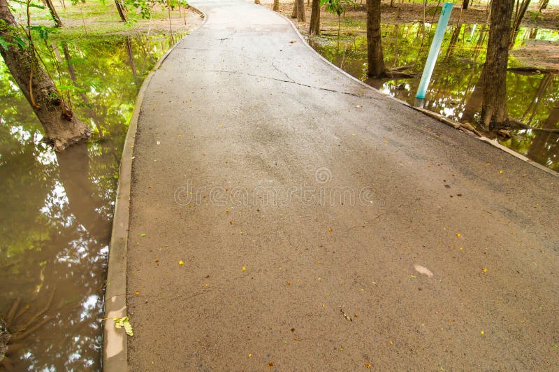 Footpath and tree nature stock image. Image of pedestrian - 55444345