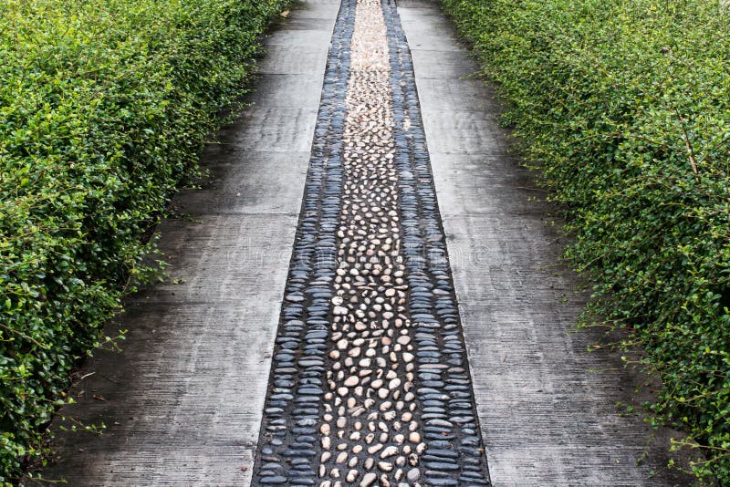 Footpath and Tree stock photo. Image of stone, cement - 46785244