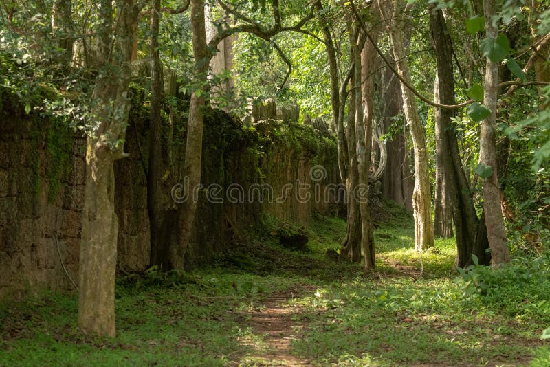 Footpath through Trees Along Stone Temple Wall Stock Photo - Image of ...