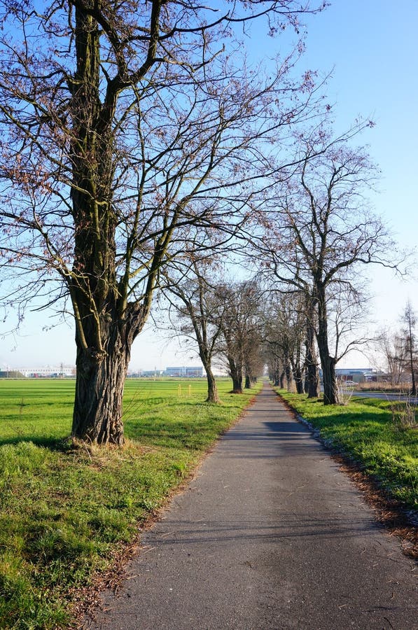 Footpath stock image. Image of lane, shrub, woodland - 48717917