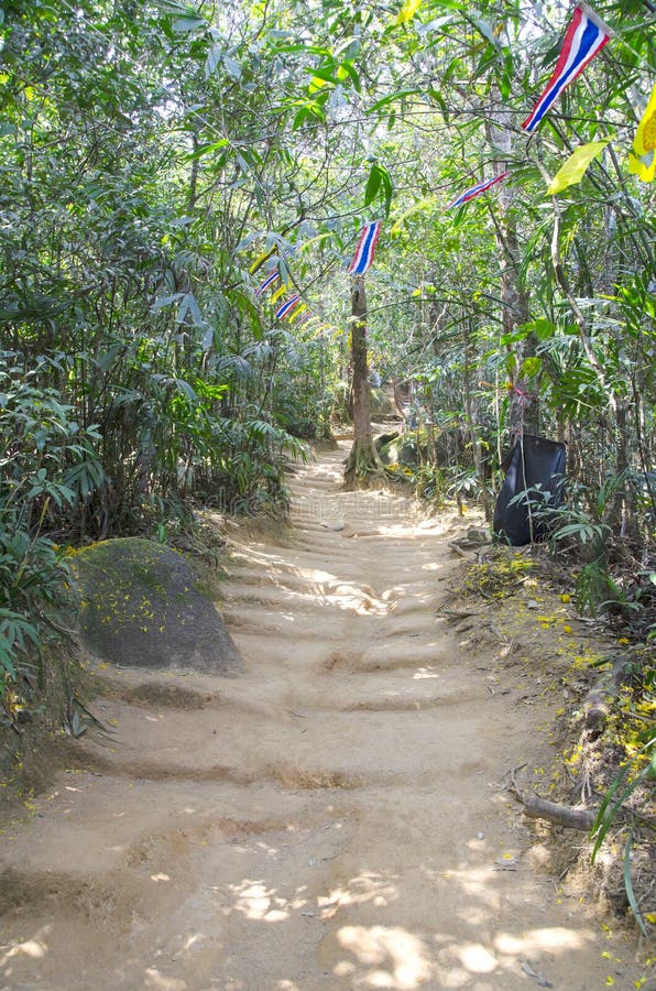 Footpath between Trees in Mountain Stock Image - Image of scene ...