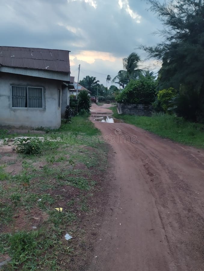 Footpath with Trees of a Rural Area Stock Photo - Image of blue ...