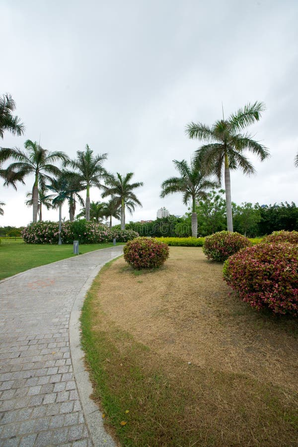 Footpath in tropical park stock image. Image of park - 20737567