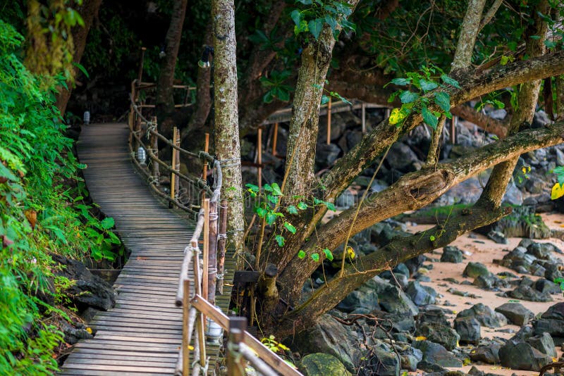 A Footpath in Tropical Places of Thailand Stock Image - Image of ...