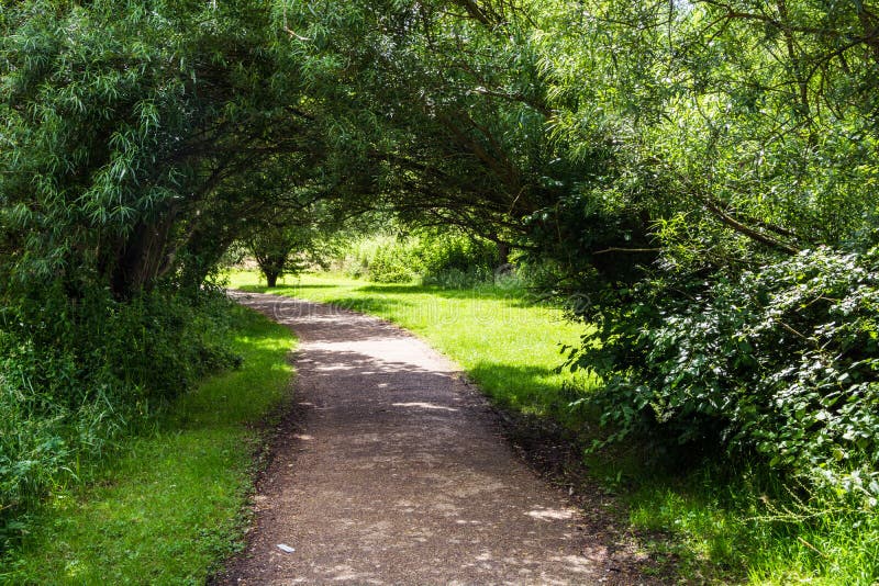 Footpath Under the Shade of Trees in Summer Stock Image - Image of ...