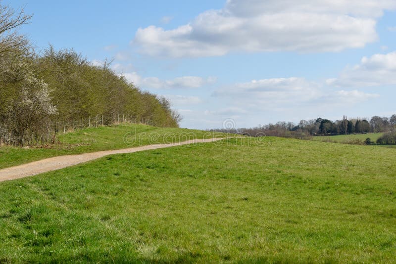 Footpath Winding Trough a Forest Walking Route with a River on the ...