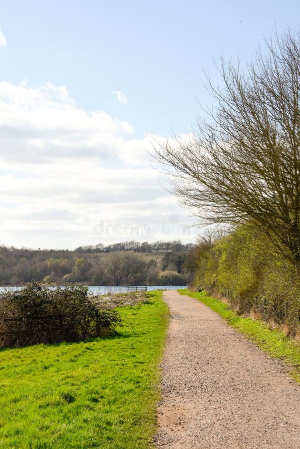 Footpath Winding Trough a Forest Walking Route with a River on the ...