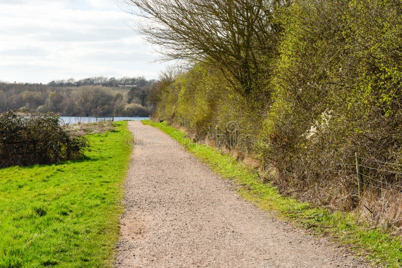Footpath Winding Trough a Forest Walking Route with a River on the ...