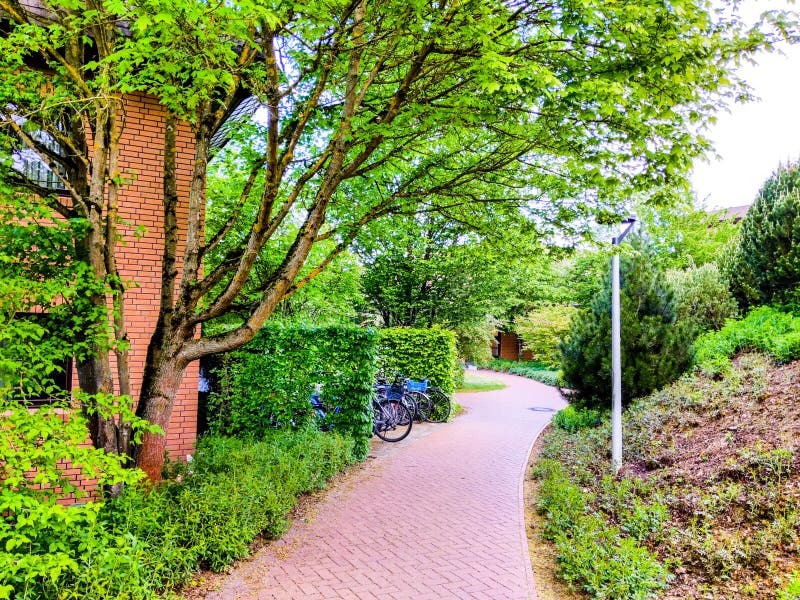 Footpath Winds through Trees, Nature, and a Building with Bicycles ...