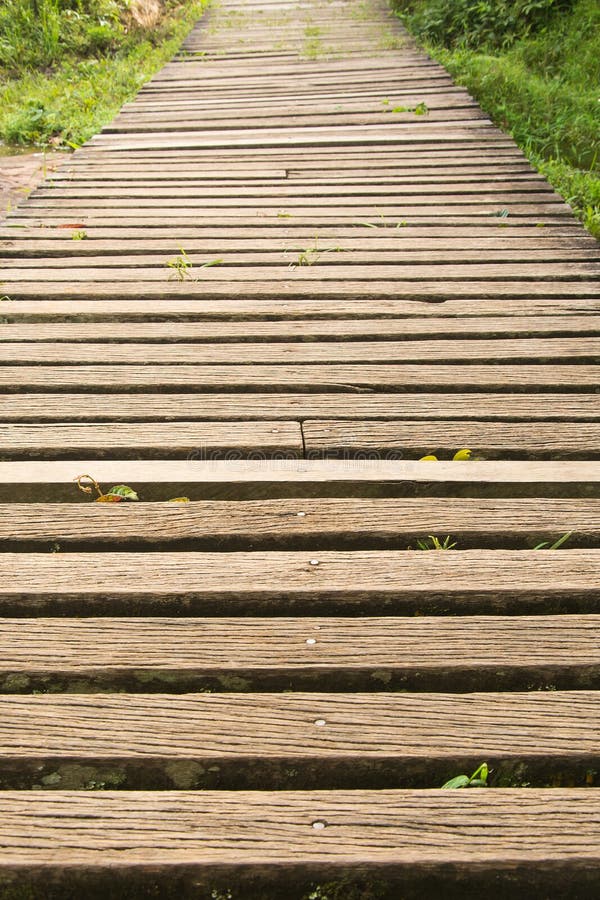 Footpath wood stock photo. Image of fresh, wooden, bridge - 92765804