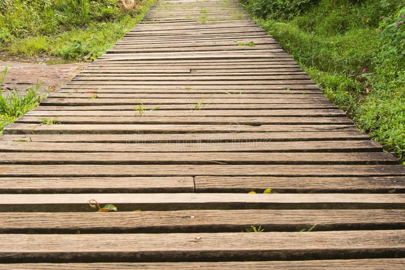 Footpath wood stock image. Image of forest, park, wood - 92766647