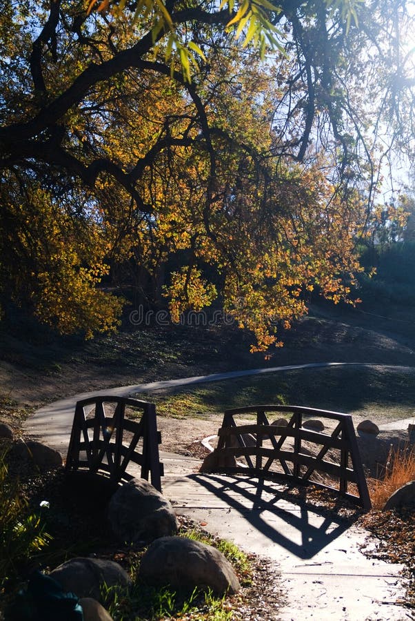 Footpath with Wooden Bridge and Backlit Tree Stock Photo - Image of ...