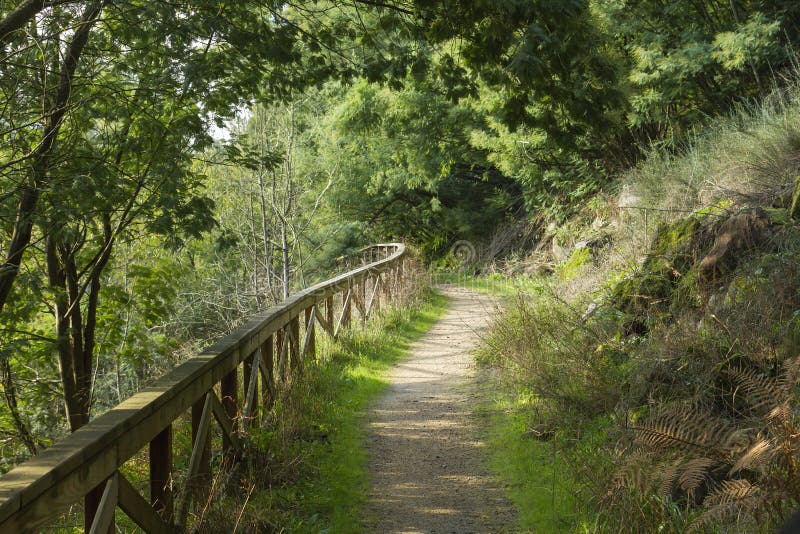 Footpath with Wooden Handrail Stock Image - Image of landscape ...