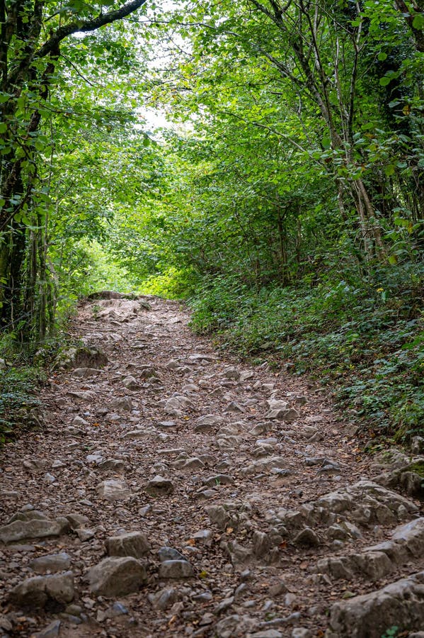 Footpaths and countryside stock image. Image of mature - 197883083