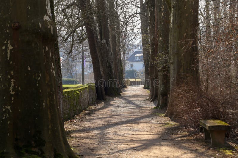 Footpaths in the park stock photo. Image of pathway - 113429398