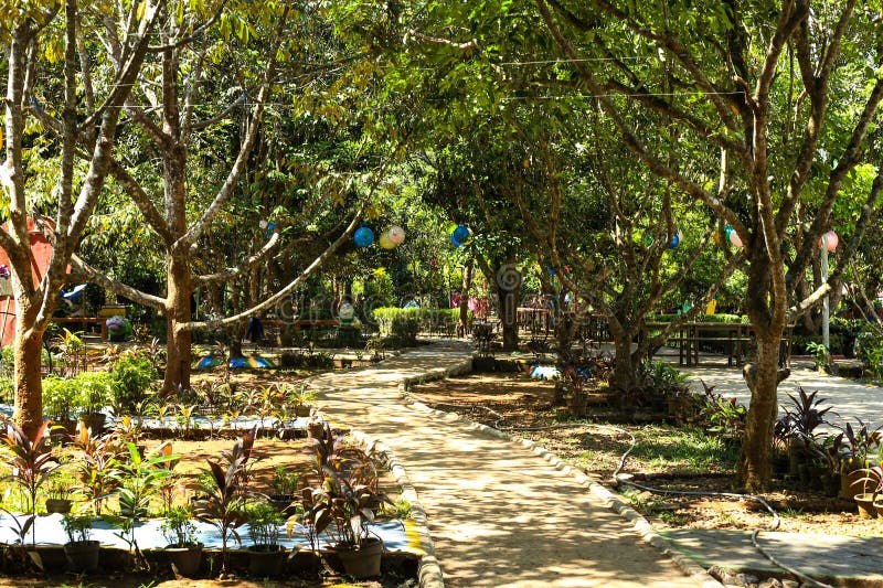Footpaths and Trees in the Park during the Day Stock Photo - Image of ...