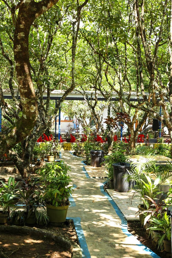 Footpaths and Trees in the Park during the Day Stock Image - Image of ...