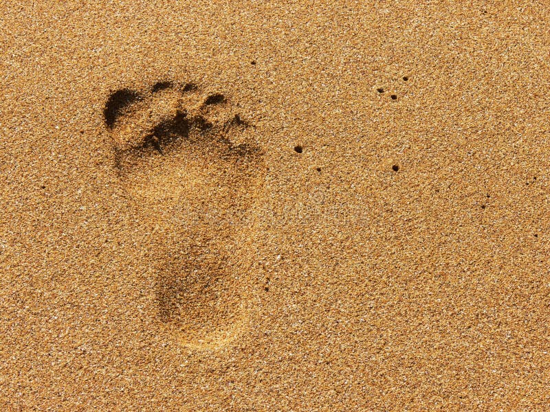 Geese stock photo. Image of migrating, cloudy, flying, fowl - 564952