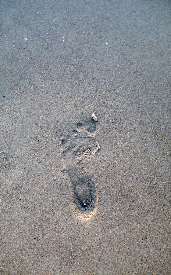Footprint stock photo. Image of scenic, ocean, outdoor - 12338158