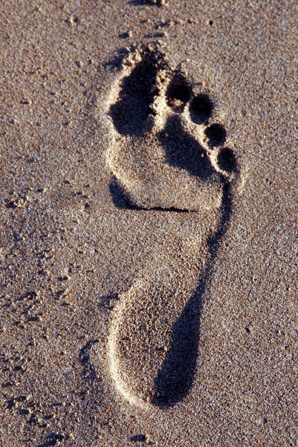 Vector Footprint stock illustration. Illustration of theft - 2646902