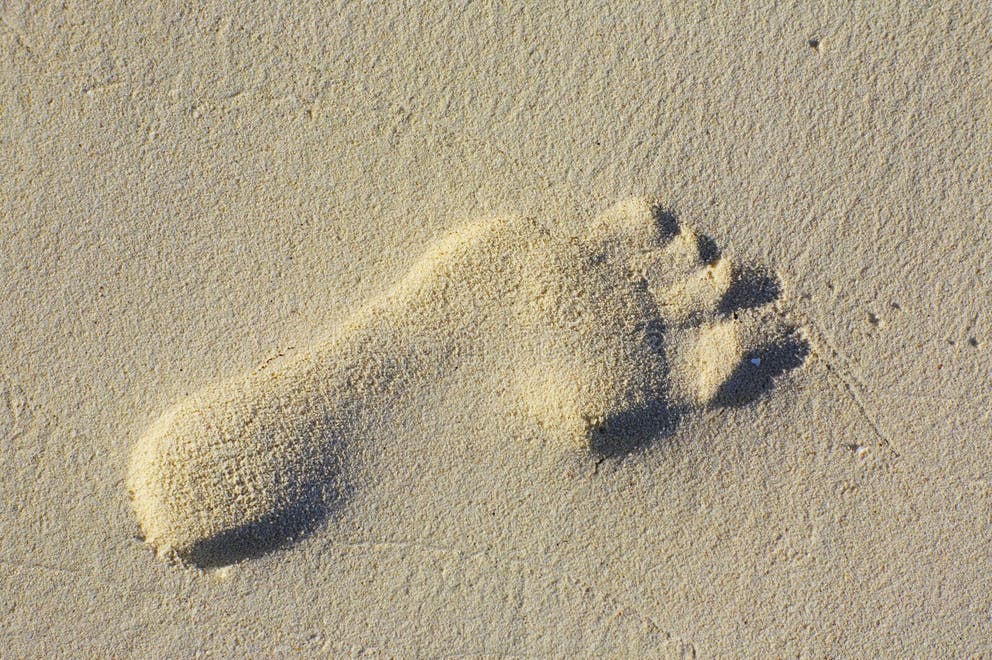 Footprint stock image. Image of path, caribbean, escape - 3751303